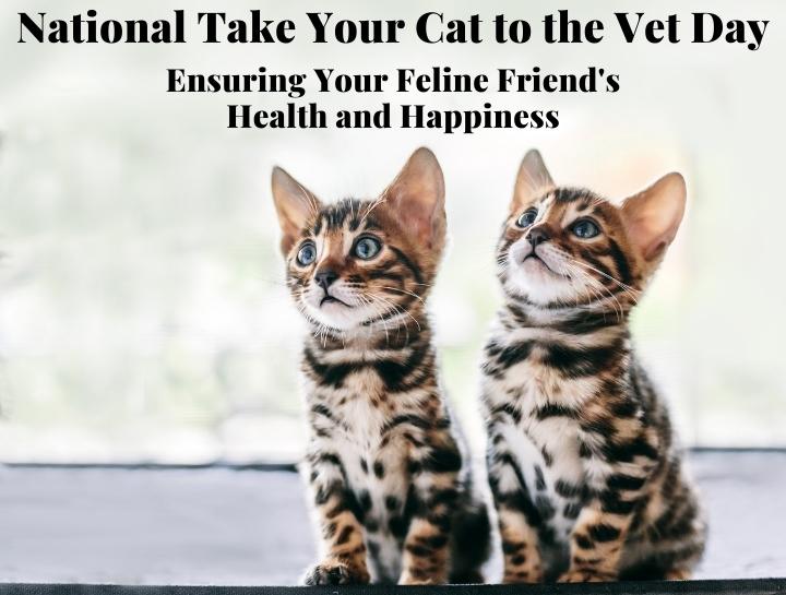Take Your Cat to the Vet Day | North Laurel Animal Hospital Take Your Cat to the Vet Day | North Laurel Animal Hospital